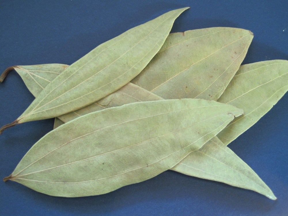 Glossary – Remember the Taste